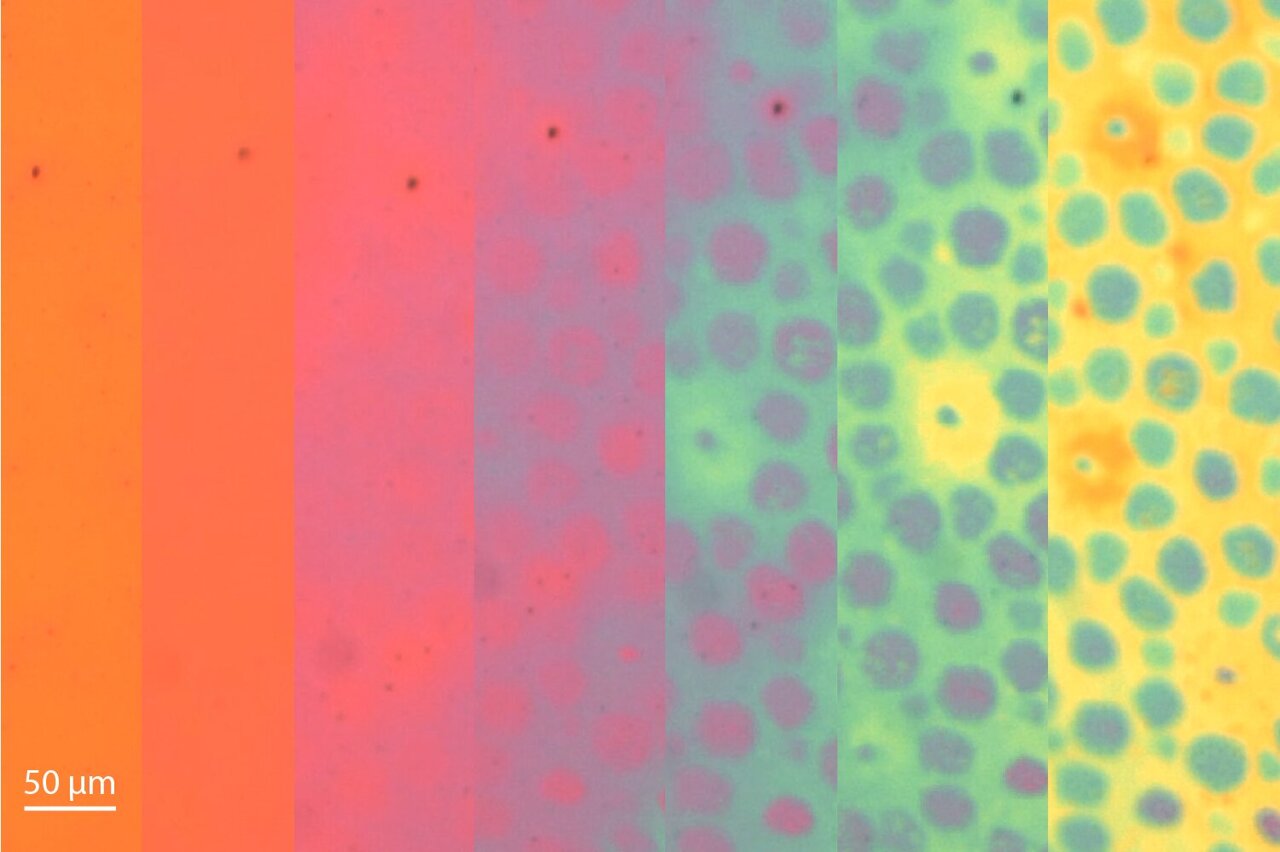 Flexible material mimics octopus skin with nanoscale color and texture ...