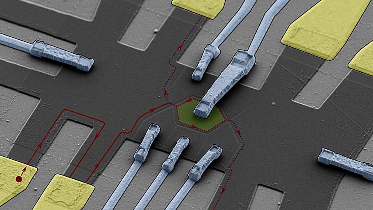 New evidence for a particle system that 'remembers' its previous ...