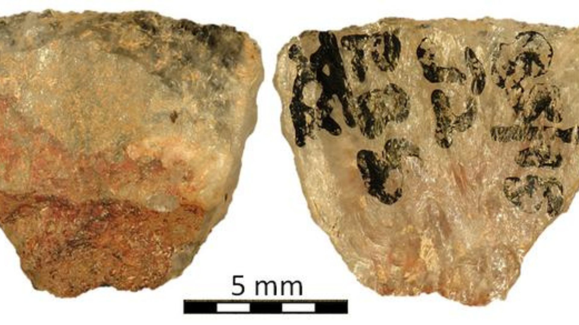 60,000-year-old arrow poison reveals early human intelligence in hunting