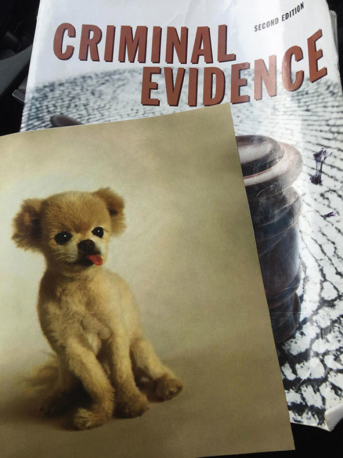 38 times people were so surprised by the things they found in second ...