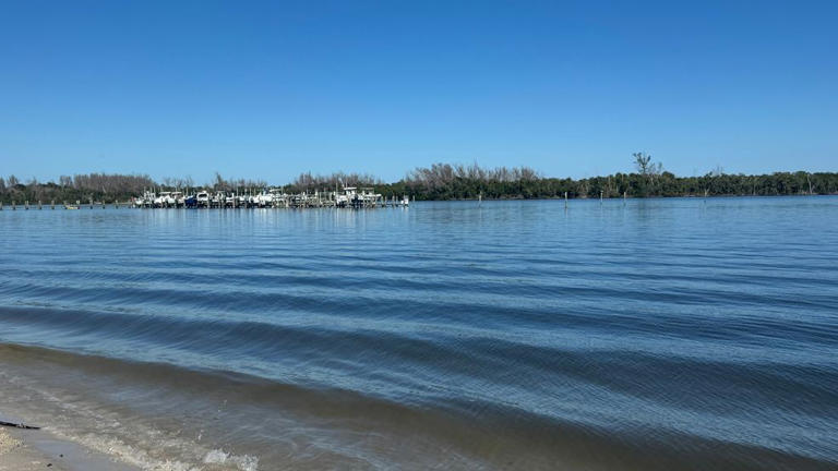 Billion dollar cleanup effort underway on Treasure Coast to protect ...
