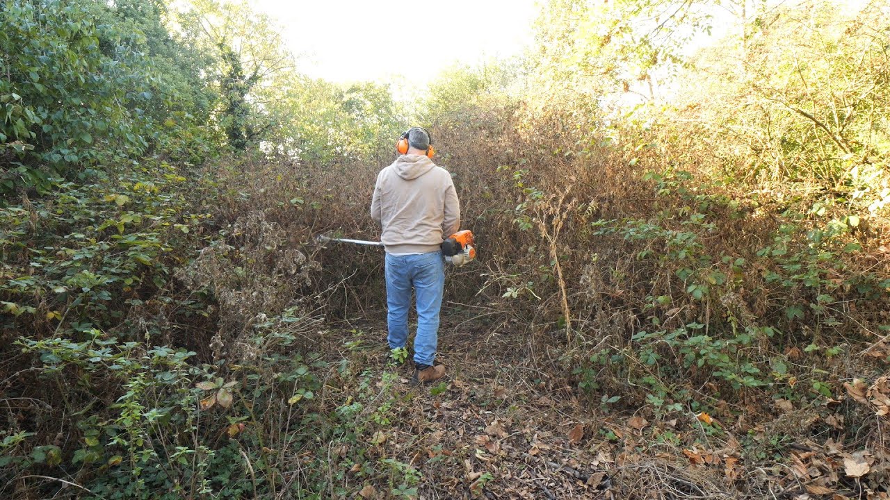 This overgrown garden hid a secret... and a mum’s last hope