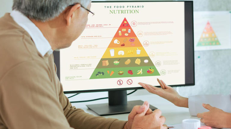New US food pyramid recommends more protein and less whole grain
