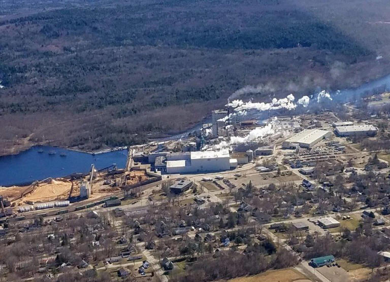 Maine mill accepts NB wood again, but producers still struggle to stay ...