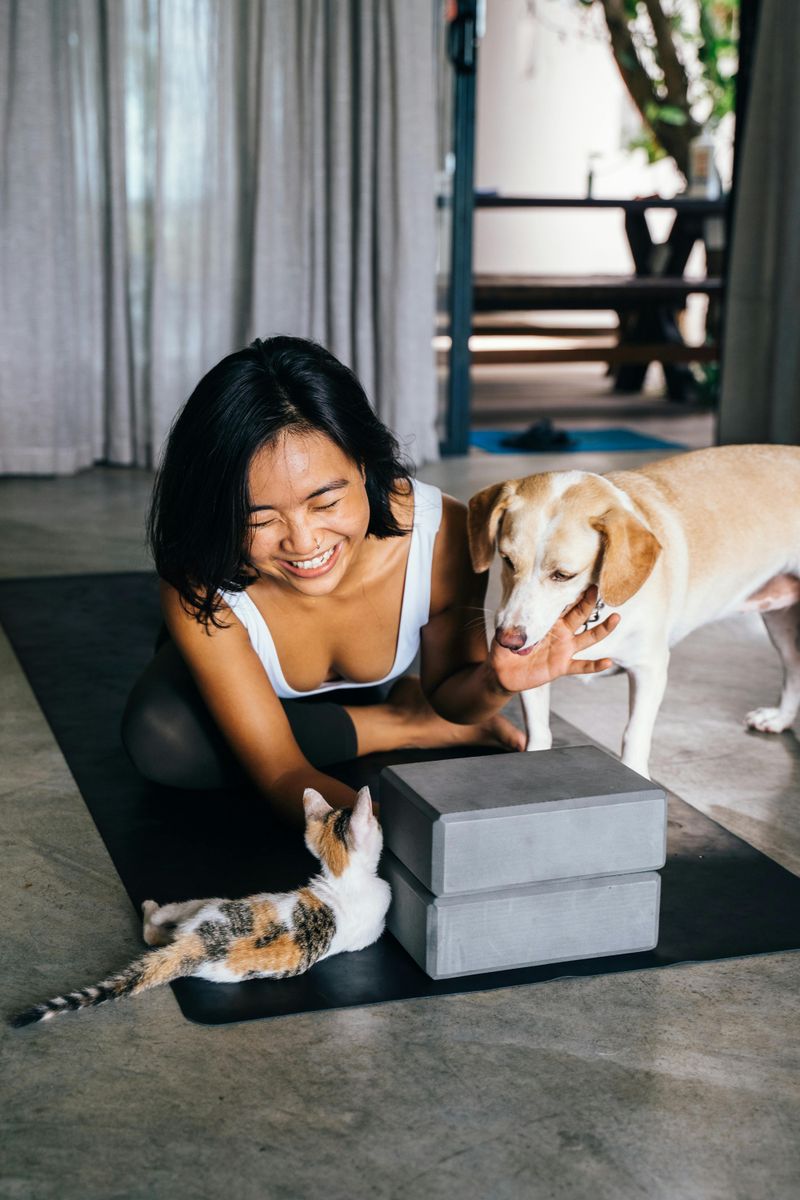 5 pets that live well with dogs at home and 3 you should avoid