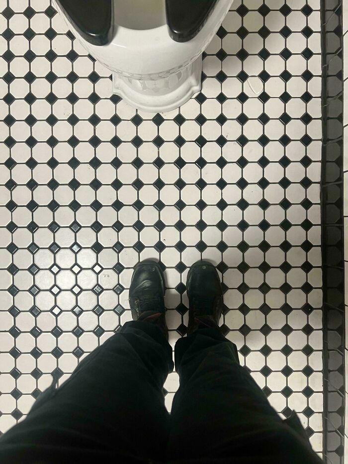 When you see it: 28 perfectly camouflaged things that take ages to find