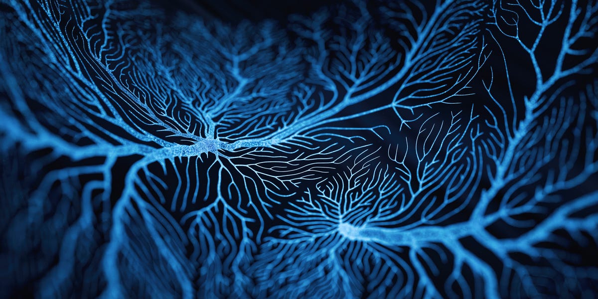 Scientists just revealed hidden networks weaving through the entire ...