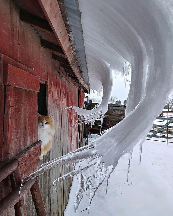 47 of the most interesting winter pics that showcase what true cold ...