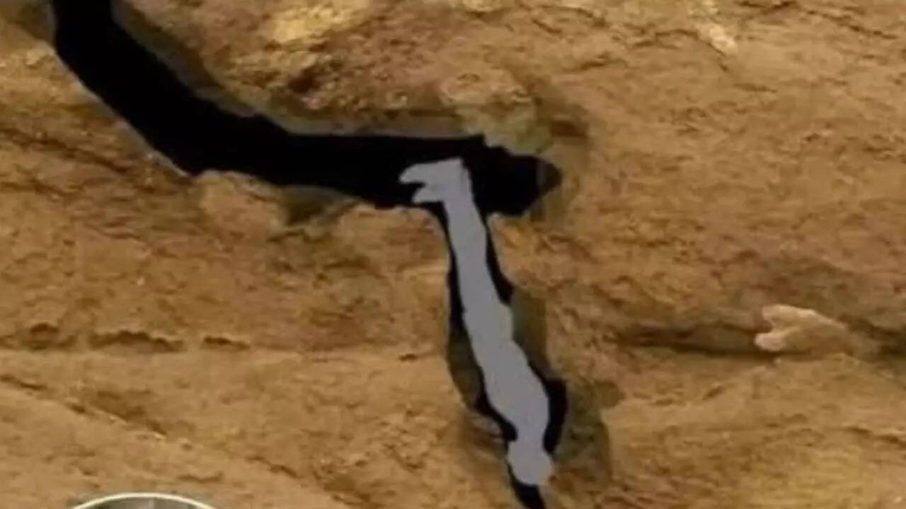 started talking about seeing angels and demons: The haunting story of ...