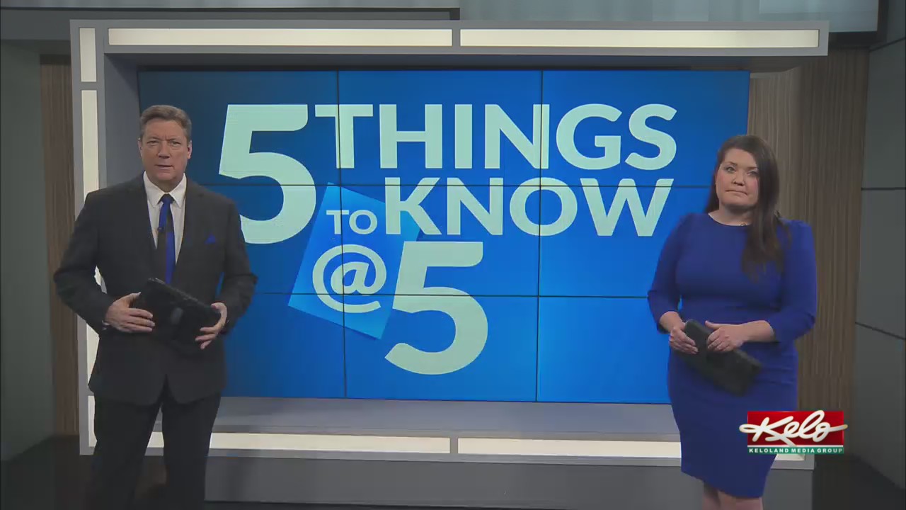 Auditors: On demand ballots could cut costs