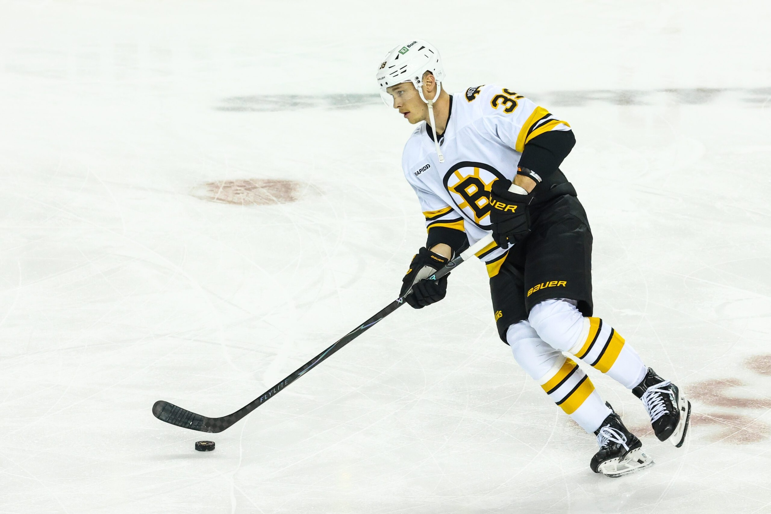 What are the 2025-26 Boston Bruins?