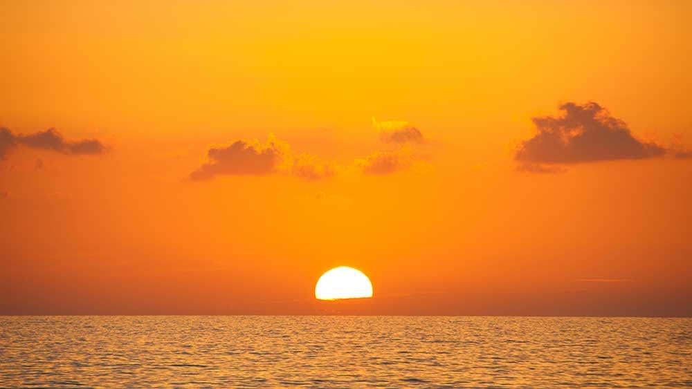 Dow Jones futures fall; Eli Lilly breaks out, Google trumps Apple