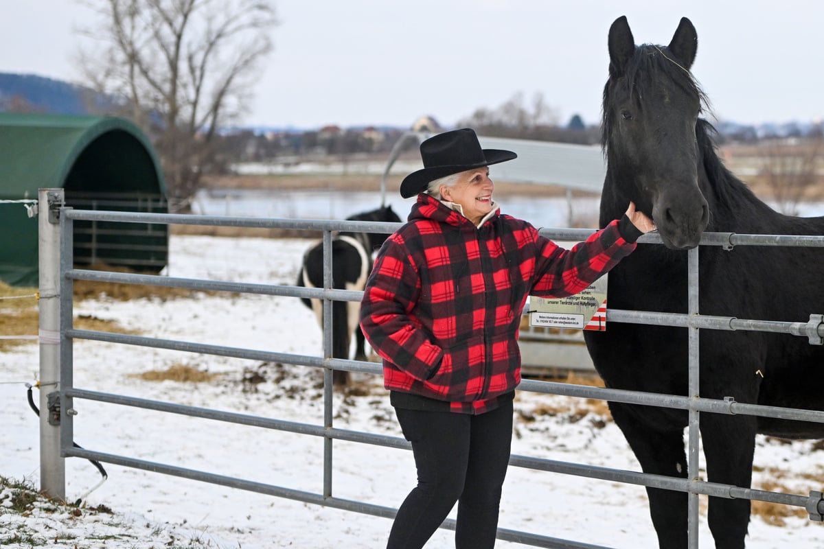 Verein mit Herz bewahrt Pferde vor dem Schlachter