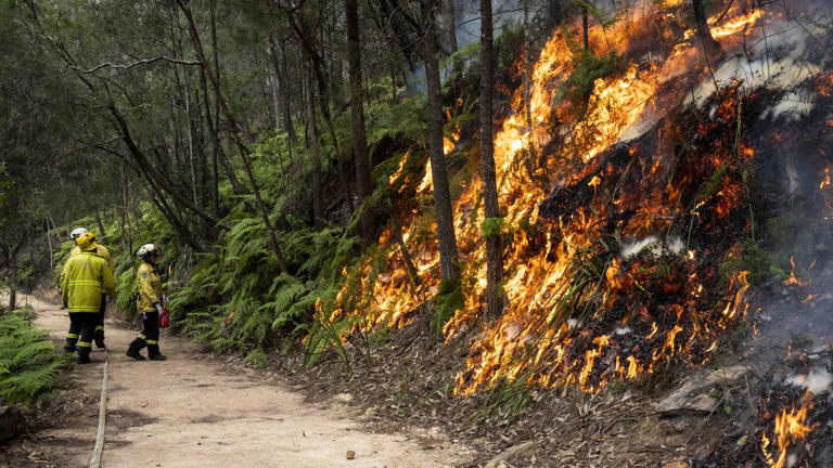 Cops slam 'dangerous' bushfire act
