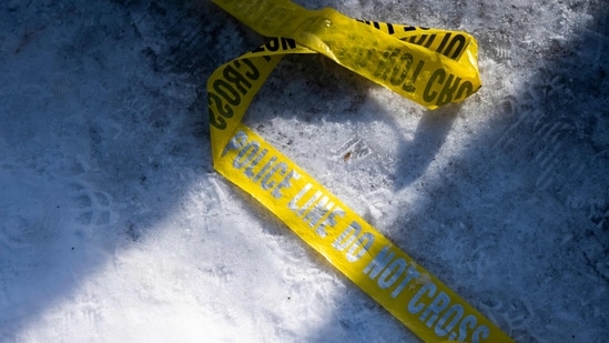 Renee Nicole Good: Who was Timmy Ray Macklin Jr? Details of ICE ...