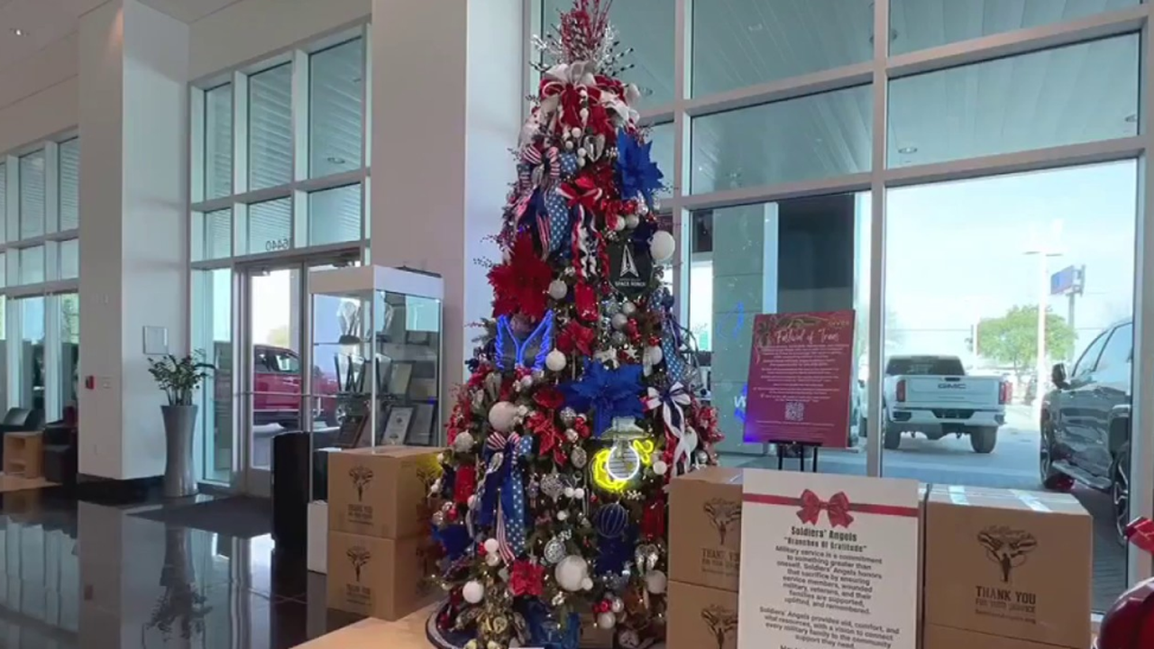 Festival of Trees: 2 organizations helping servicemembers, families get ...