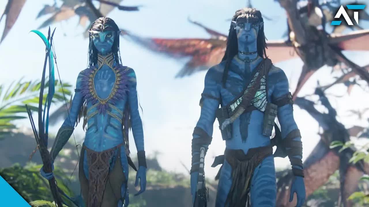 50K subscriber Q&A | Thank you!