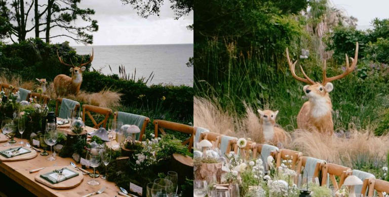 El jefe de Tomás Rebord y del Gordo Dan creó un bosque encantado para ...