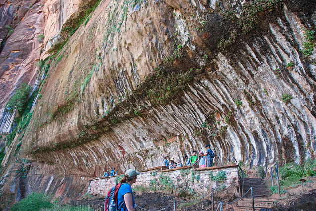 The ultimate guide to exploring Zion National Park with kids