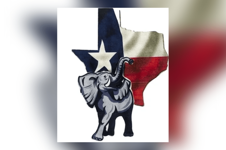 Court mandates Cherokee County GOP to place barred candidate on primary ...