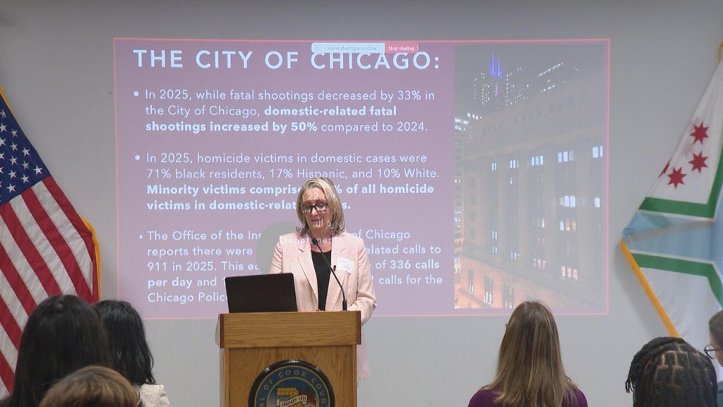 New domestic violence task force holds first meeting as Cook County ...