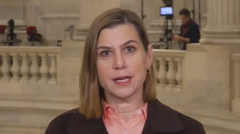 'I have been warning about this': Elissa Slotkin remarks on Minneapolis ...