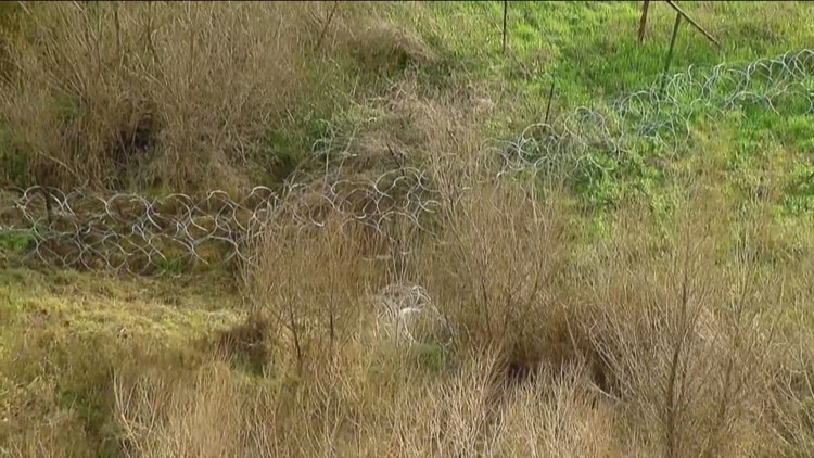 San Diego sues federal government over unauthorized razor wire fence ...