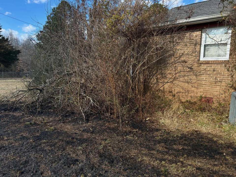 Photos: Firefighters keep brush fire from spreading to Prince George homes