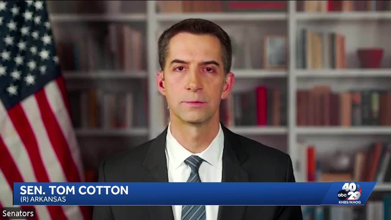 Arkansas Senator talks addresses situation in Minnesota