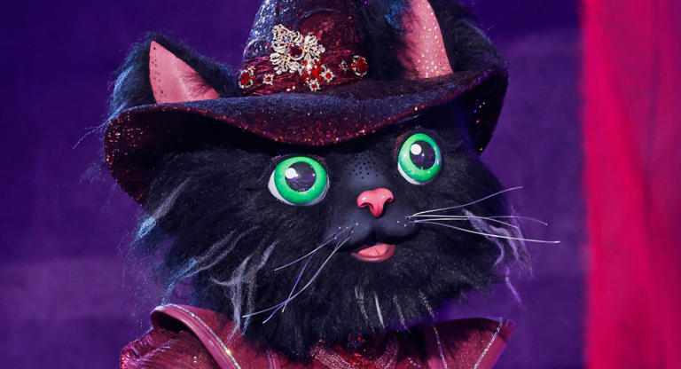 Who is Cat Witch on 'The Masked Singer'? Season 14’s first big reveal!