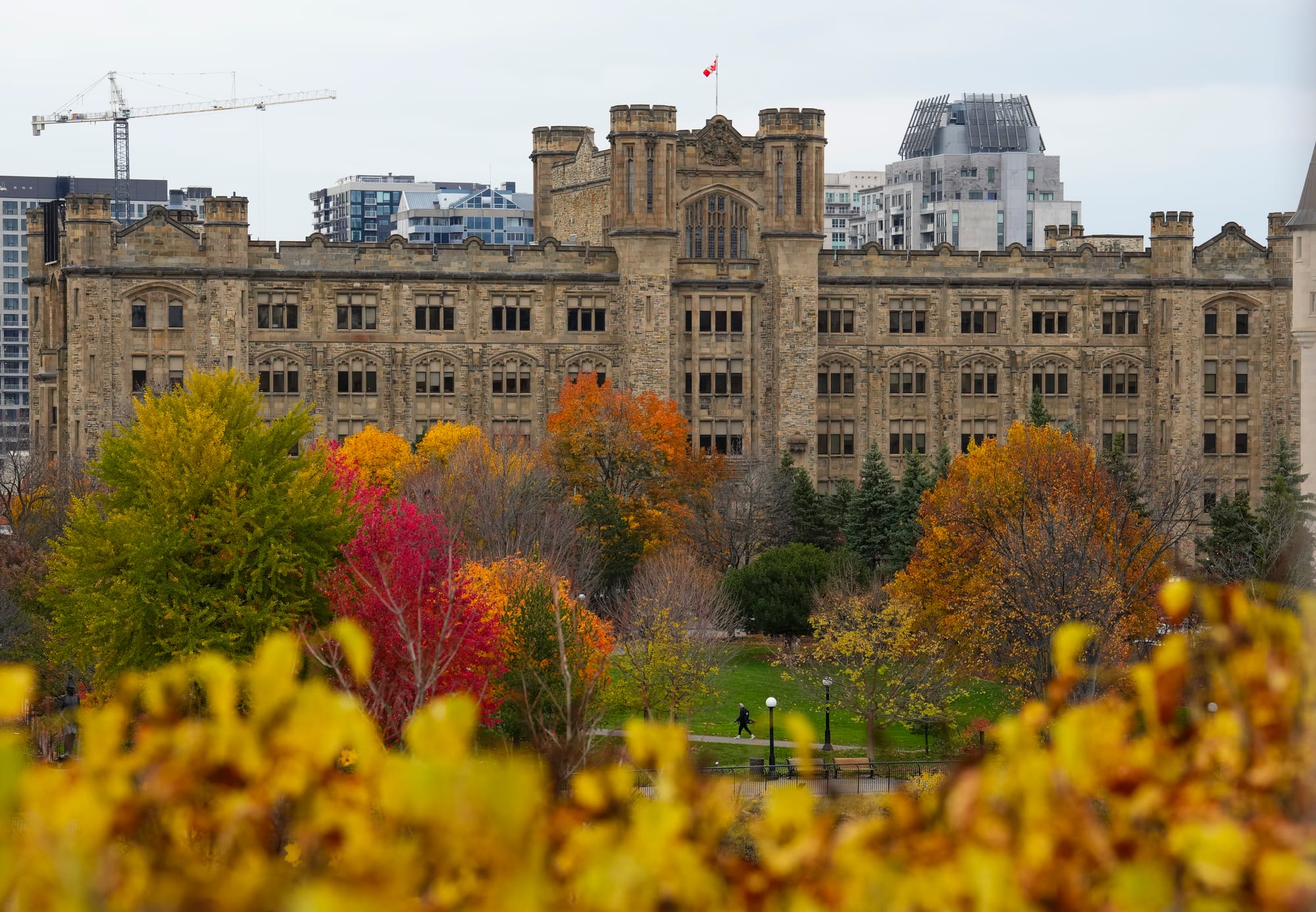 Canada lost a net total of 377 charities in 2025