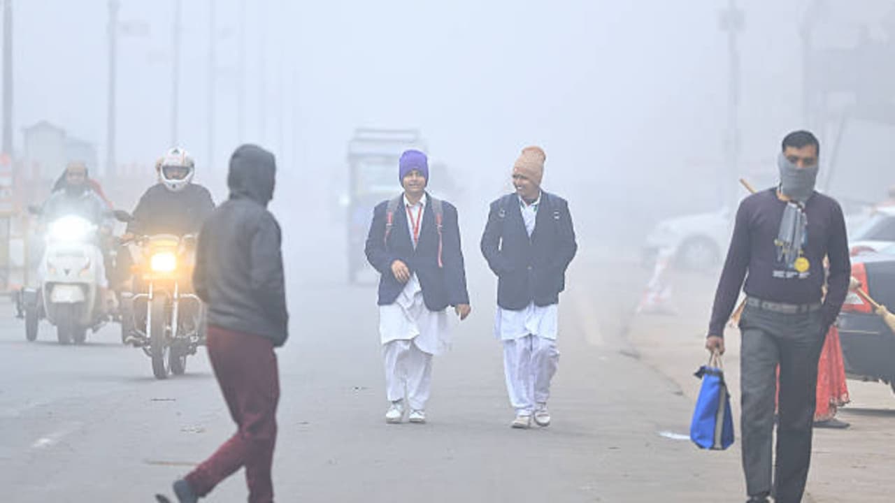 Jaipur weather latest update: Pink City grapples with dense fog, cold ...