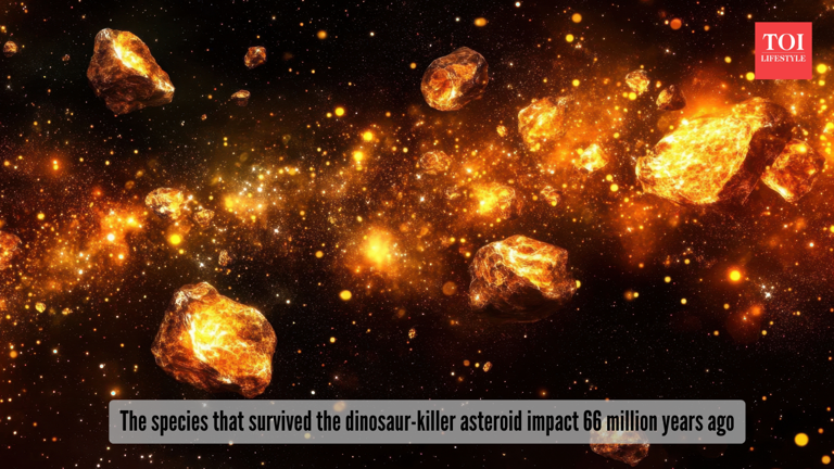 Survived the dinosaur-killer asteroid 66 million years ago! Meet the ...