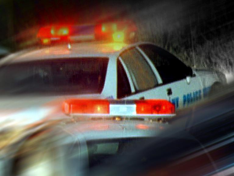 Slocomb man killed by state trooper after high-speed chase
