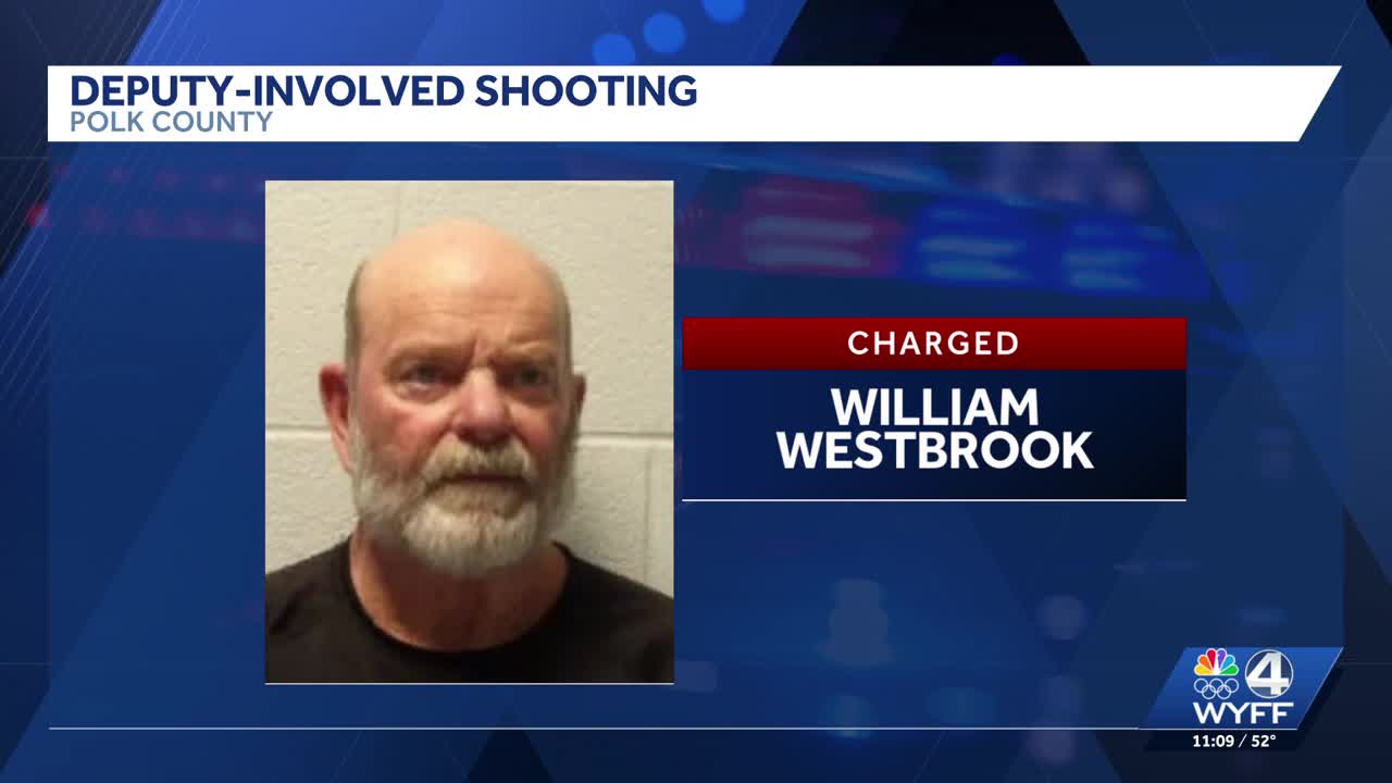 Gun jam prevents domestic dispute suspect from shooting at deputies in ...