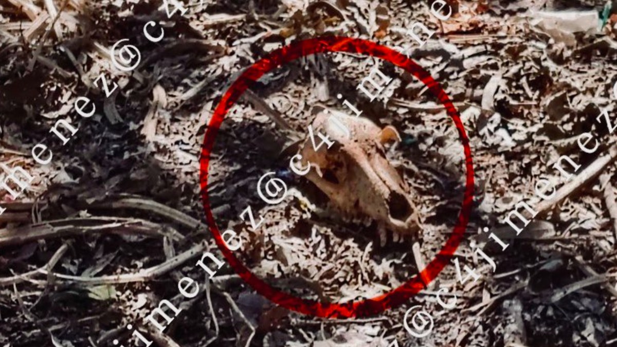 Las 5 noticias más importantes de C4 en alerta hoy 7 de enero