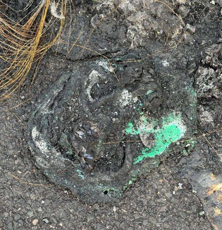 Campervan torched just an arm’s length away from Litmus House in Vellum ...