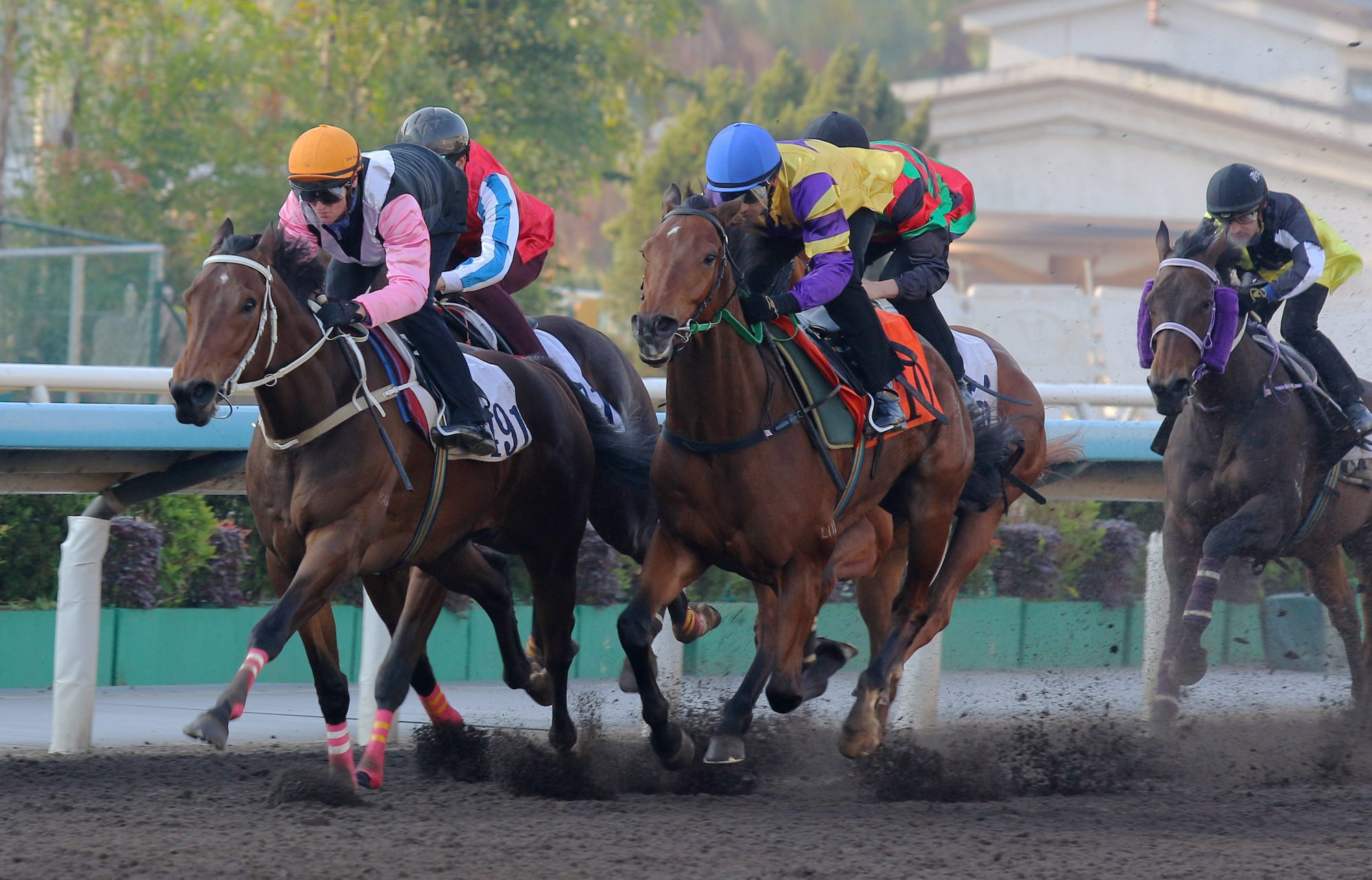Tony Cruz backs Beauty Bolt to boost Classic Mile claims at Sha Tin on ...
