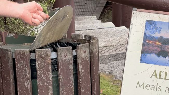 Adorable possum munches on garbage inside bin