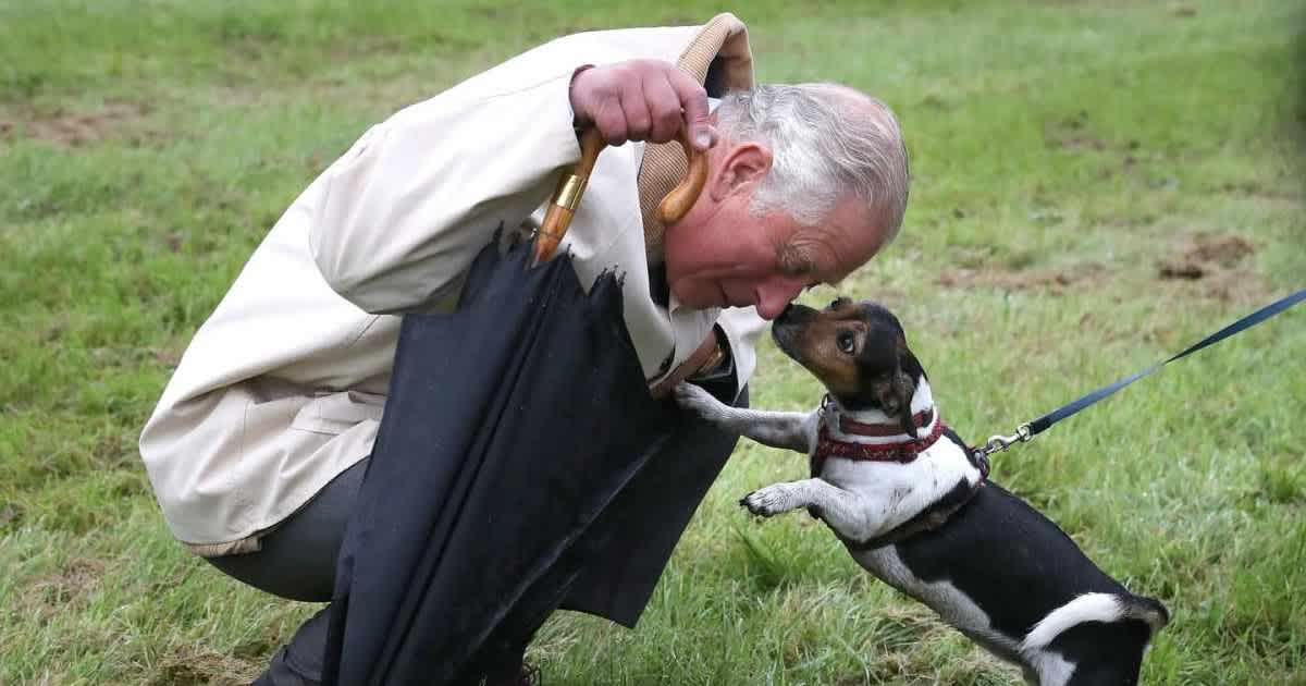 King Charles urged to step down after Andrew's arrest