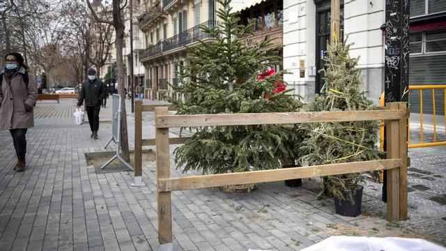 MAPA | Barcelona activa 227 puntos para reciclar árboles de Navidad ...