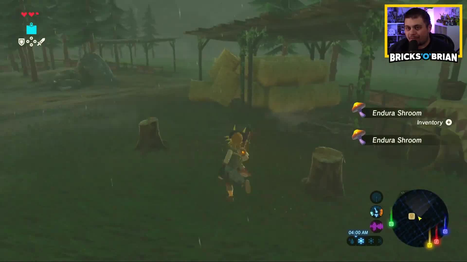 The not so abandoned temple - Legend of Zelda Breath of the Wild with ...