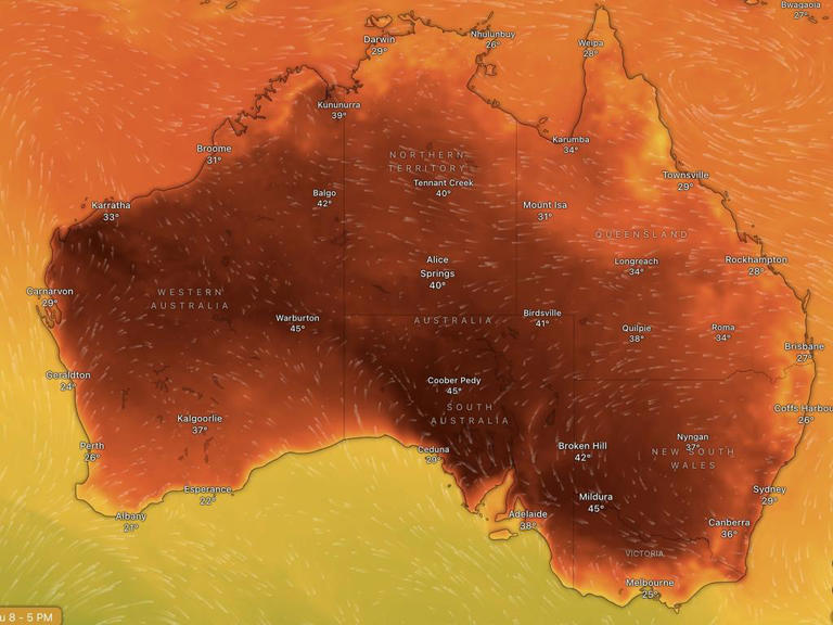 Cops slam 'dangerous' bushfire act