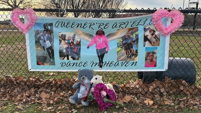 Council member says dozens of security cameras to be installed ...