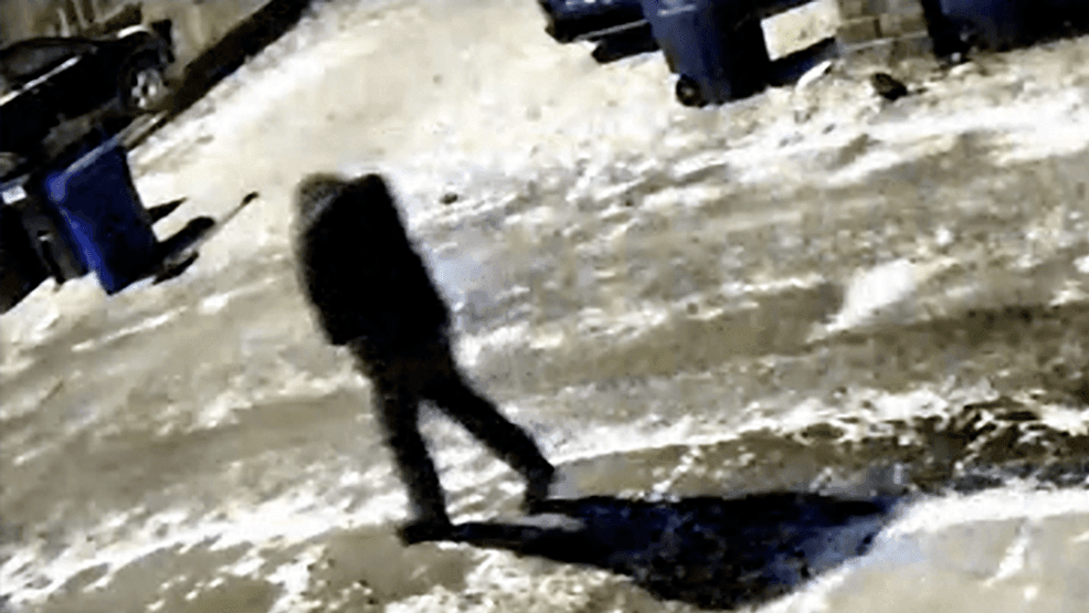 CPD investigating numerous tips linked to person of interest in Tepe ...