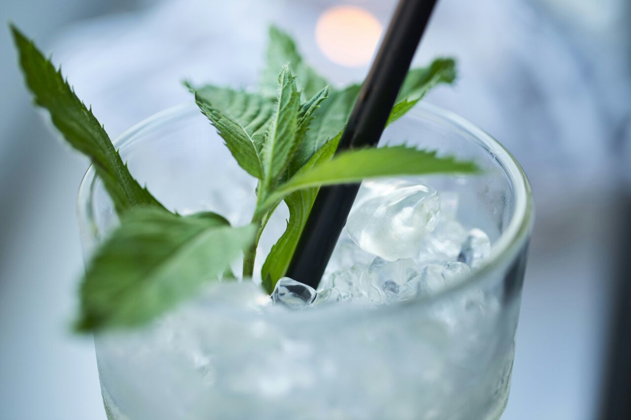 Why does mint make water taste so cold? A scientist explains