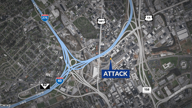 ‘We’re scared to go out’: Man speaks out about violent assault in ...