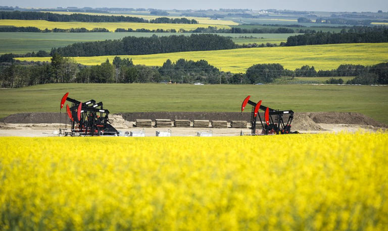 Sask. canola producers 'very hopeful' of Carney's China visit next week