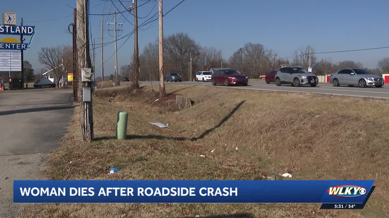 Woman dies after being hit outside of her car near Fern Creek