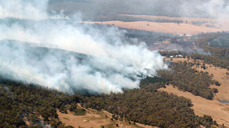 Cops slam 'dangerous' bushfire act